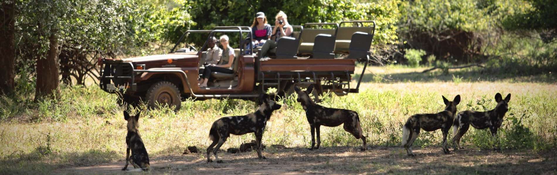 Luxury Zambia Highlights » Exclusive Africa Tours & Safaris